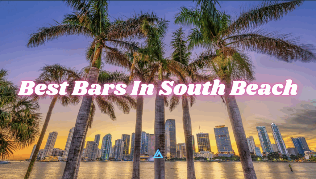 Best Bars In South Beach | Miami Club Crawl